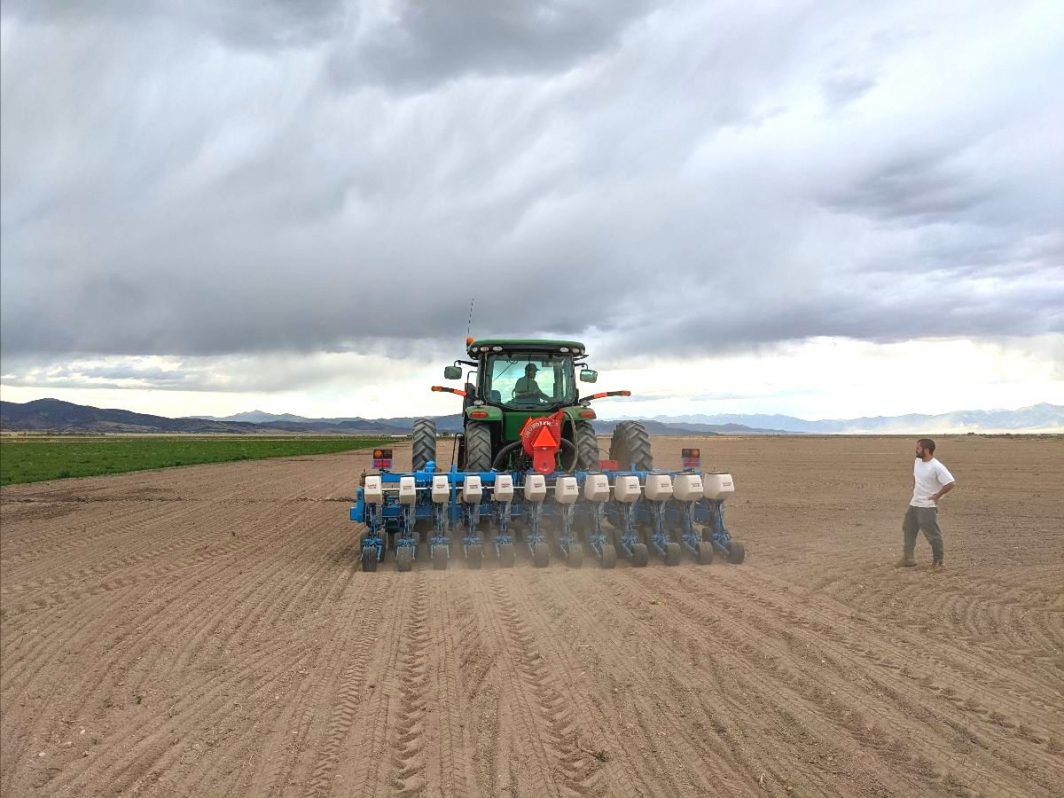 Planting of the hemp field begins! – Cloud CO Farms